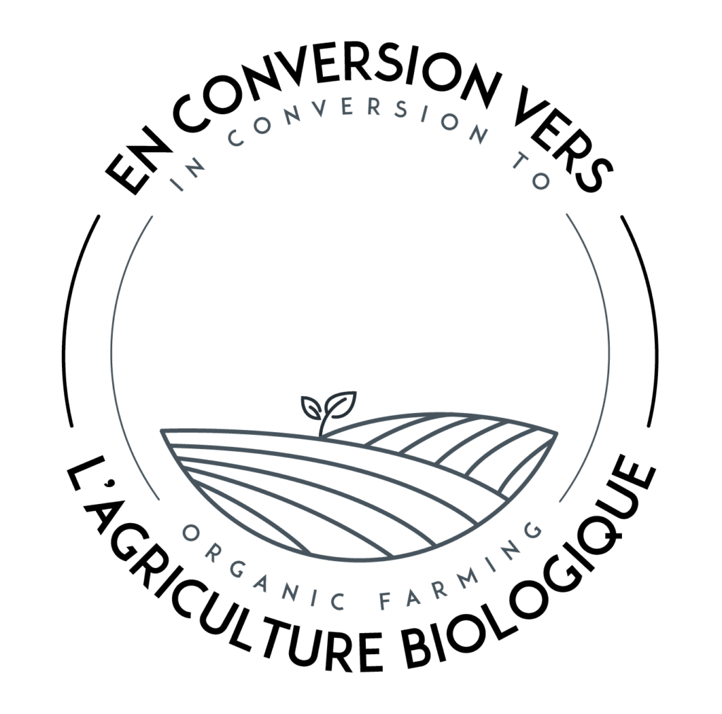 Conversion Logo